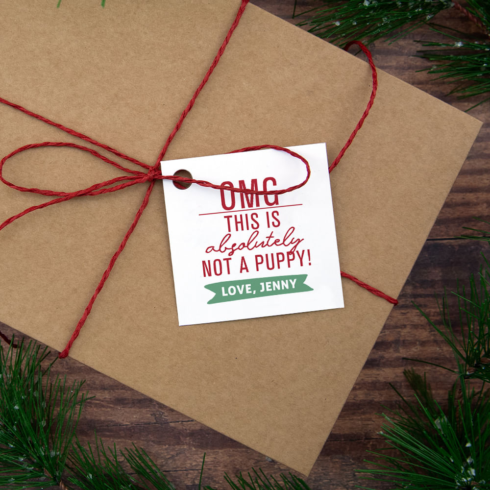 Personalized Funny Stickers Gift Tags (24 Pack) - JustCandy.com