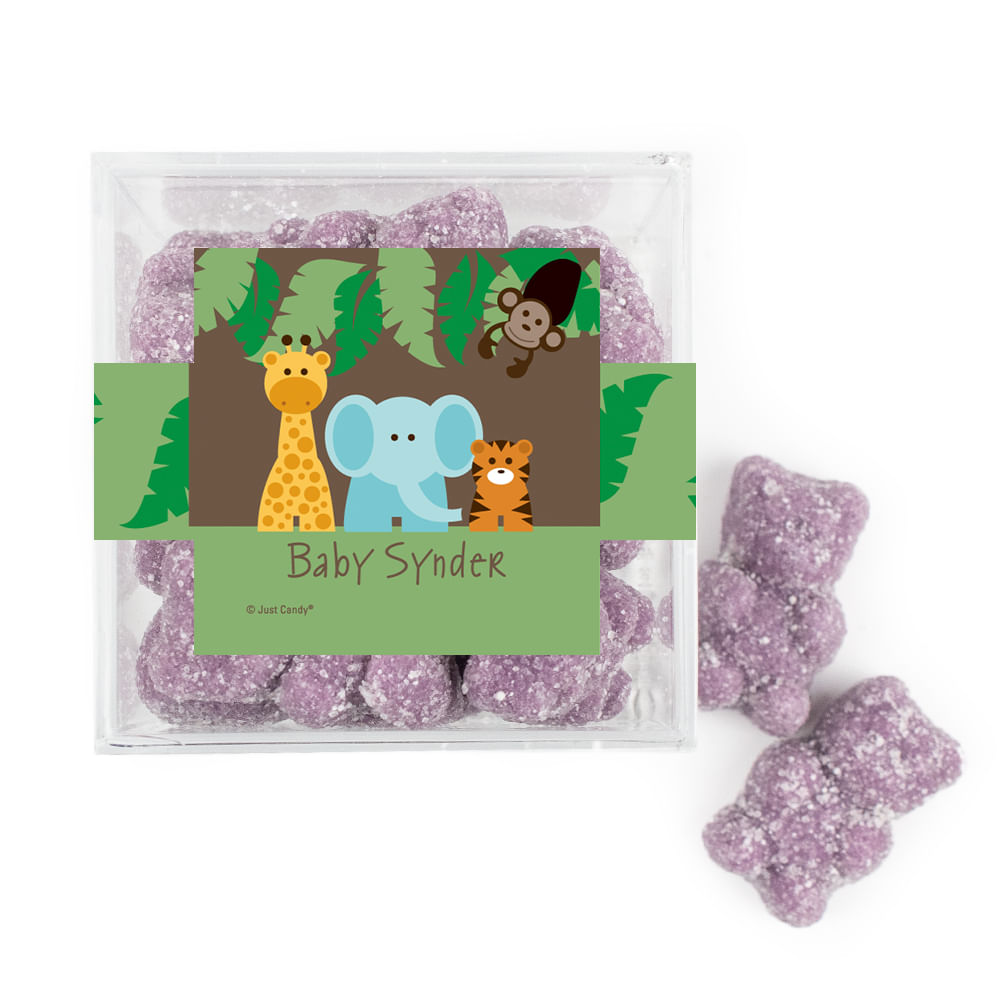 Personalized Baby Shower Jungle Safari Animals Favor Cube with Gummy ...